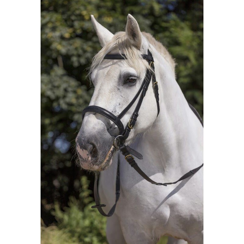 Bridon norton cheval de trait